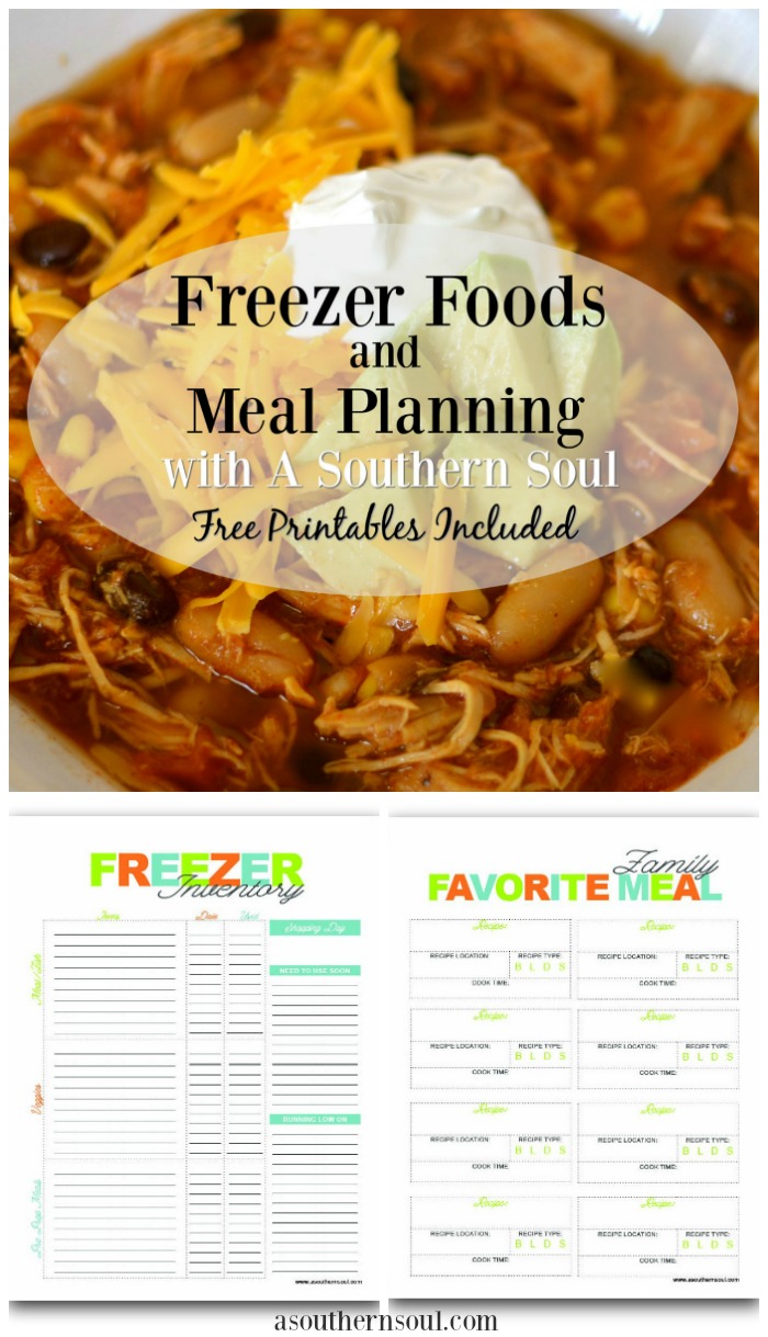 Freezer Foods and Meal Planning With A Southern Soul