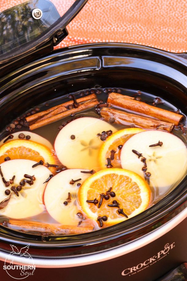 Crock Pot Mulled Cider