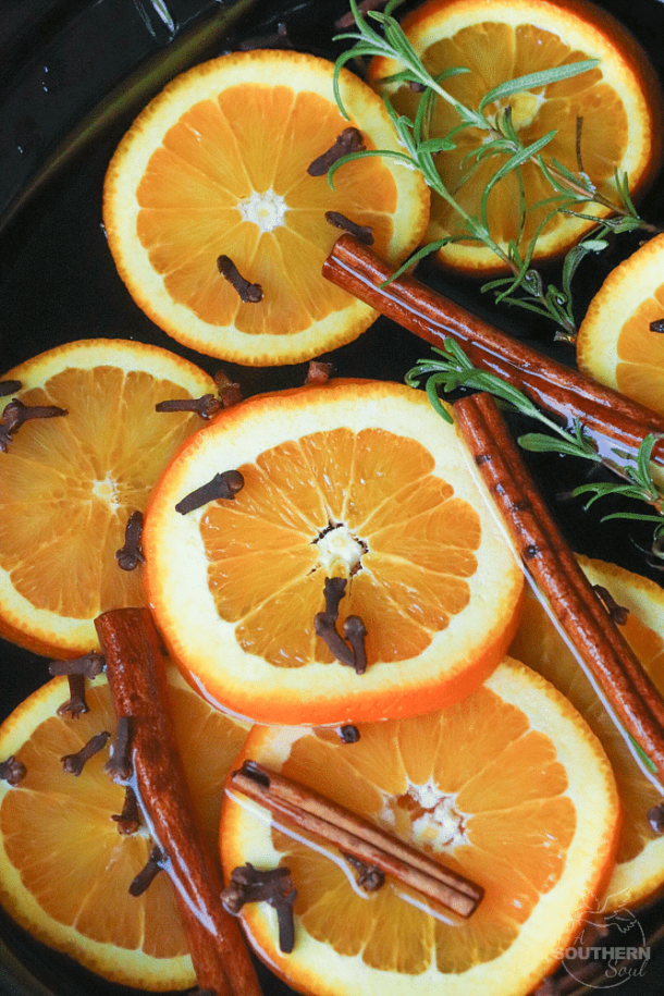 Crock Pot Fall Potpourri