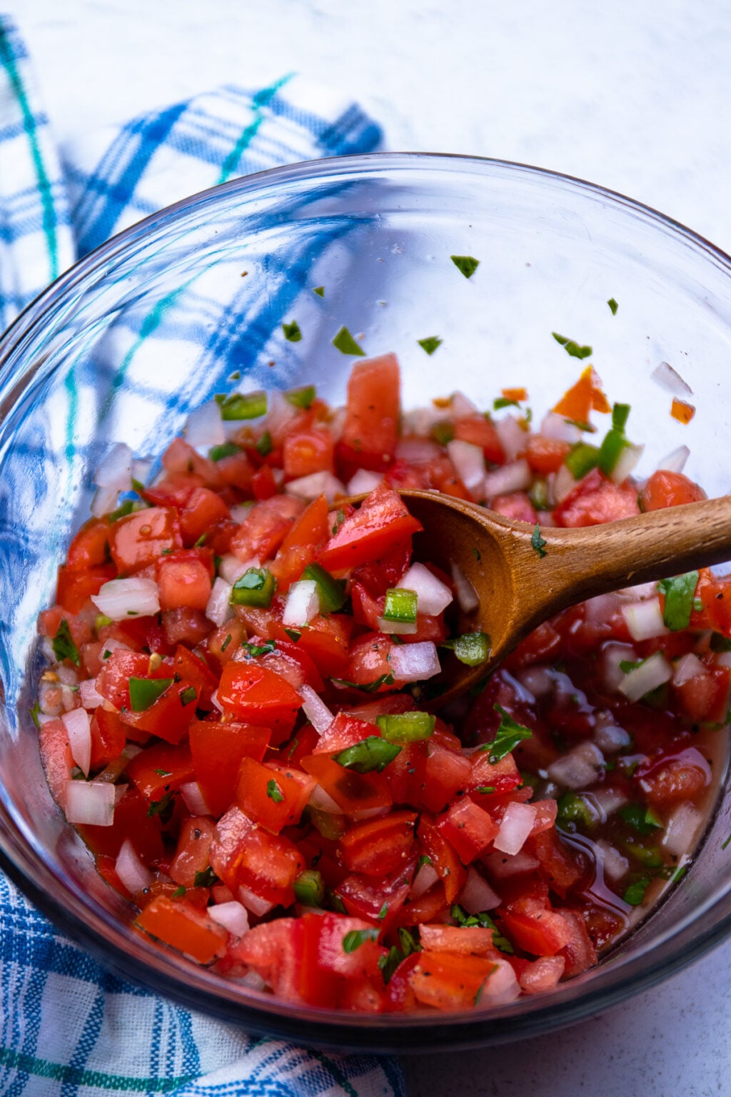 Fresh Tomato Relish Recipe