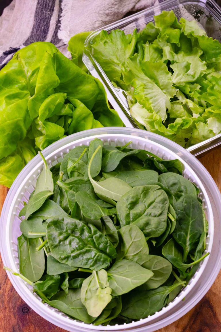 Easy Everyday Green Salad