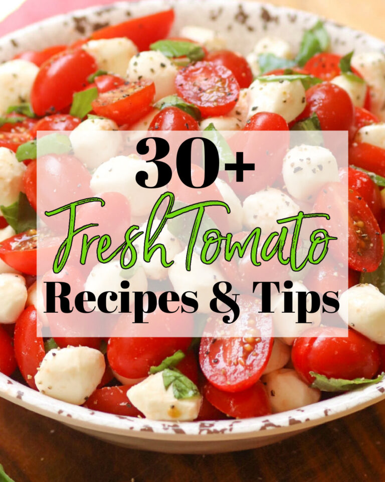 This collection of Fresh Tomato Recipes has all you need to make the ...