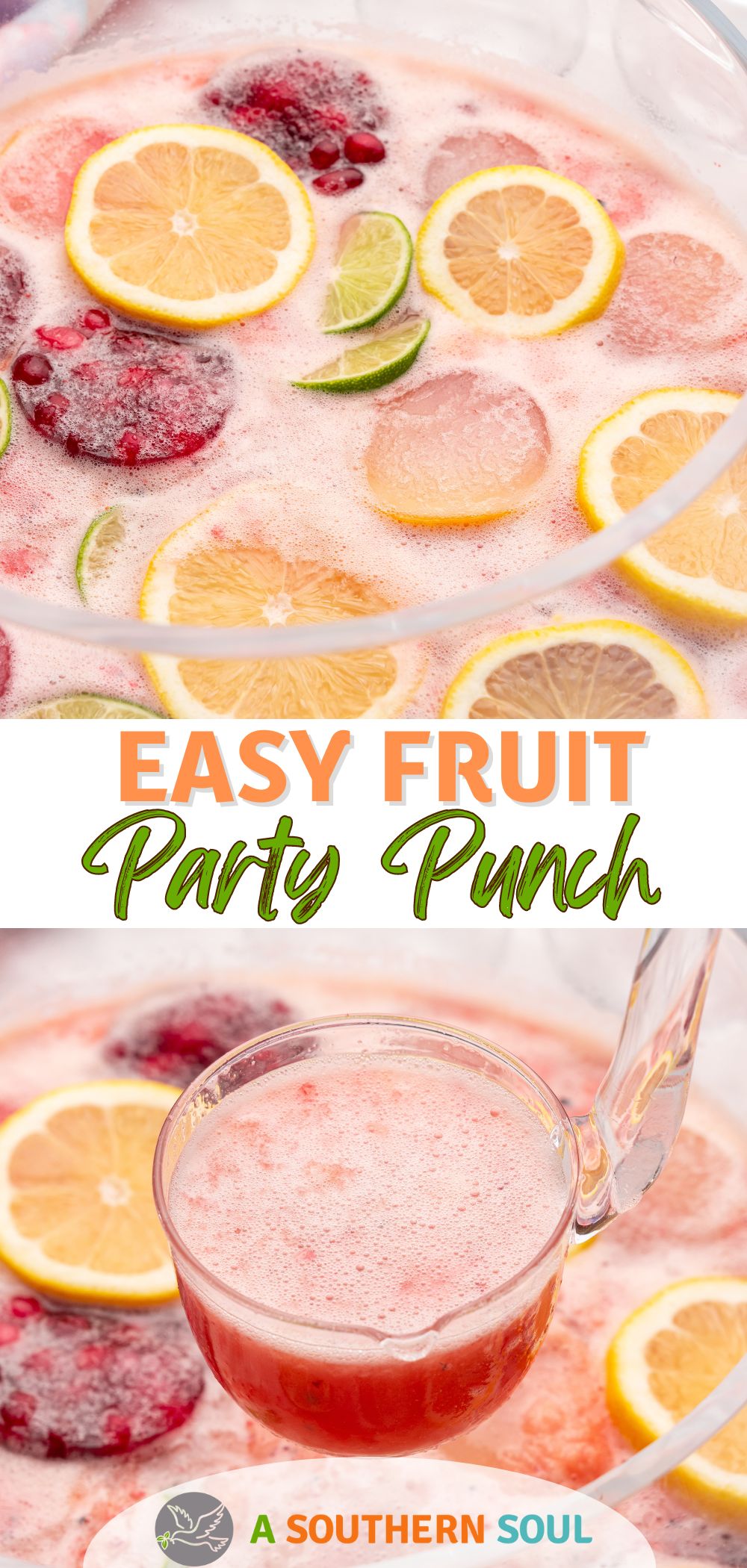 Easy Fruit Party Punch Recipe