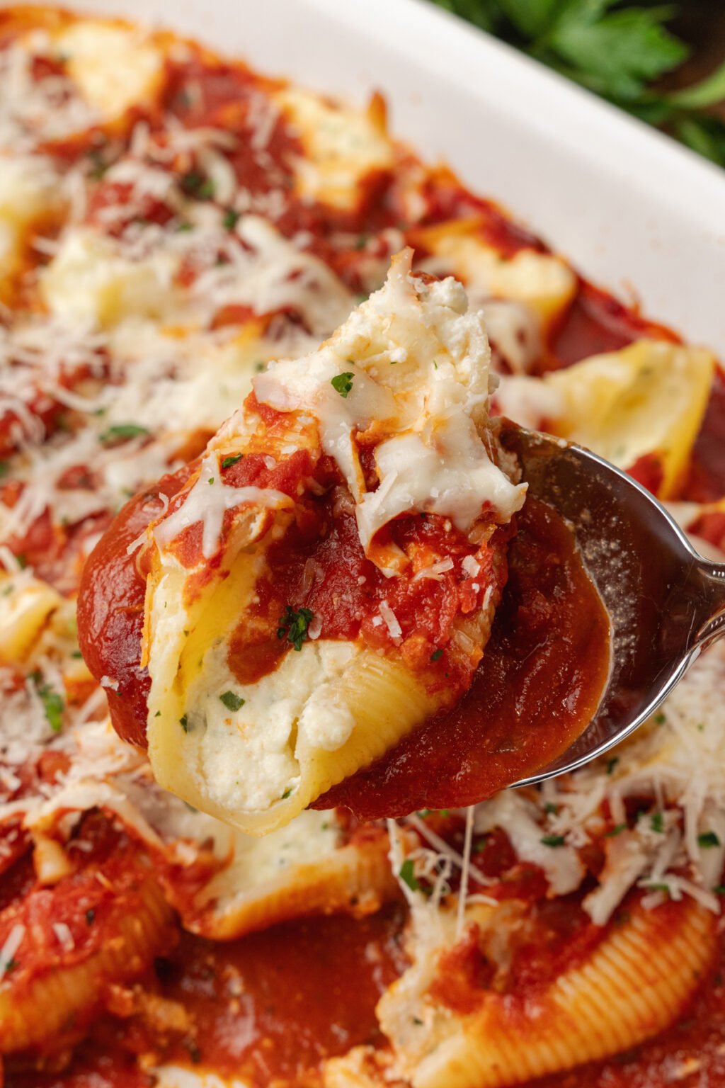 Three Cheese Stuffed Shells